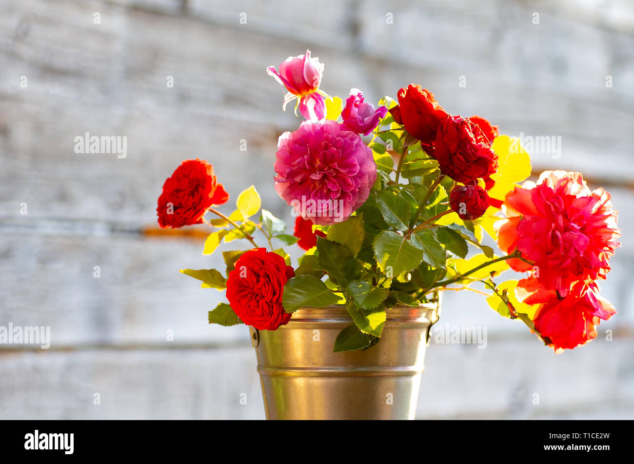 Bouquet of roses in a bucket hi-res stock photography and images - Alamy