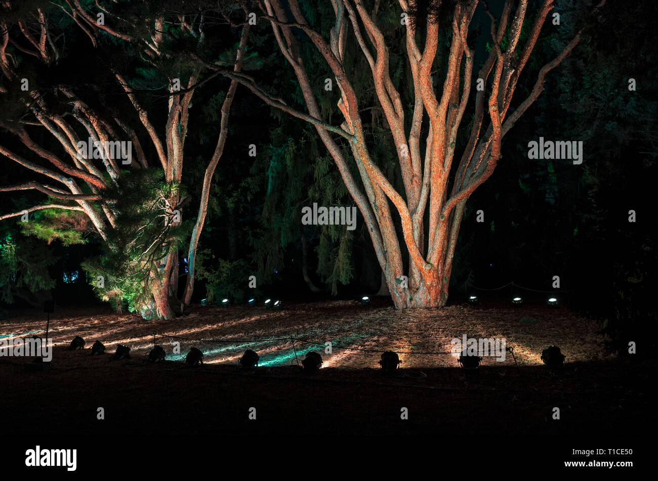 Two floodlights hi-res stock photography and images - Alamy