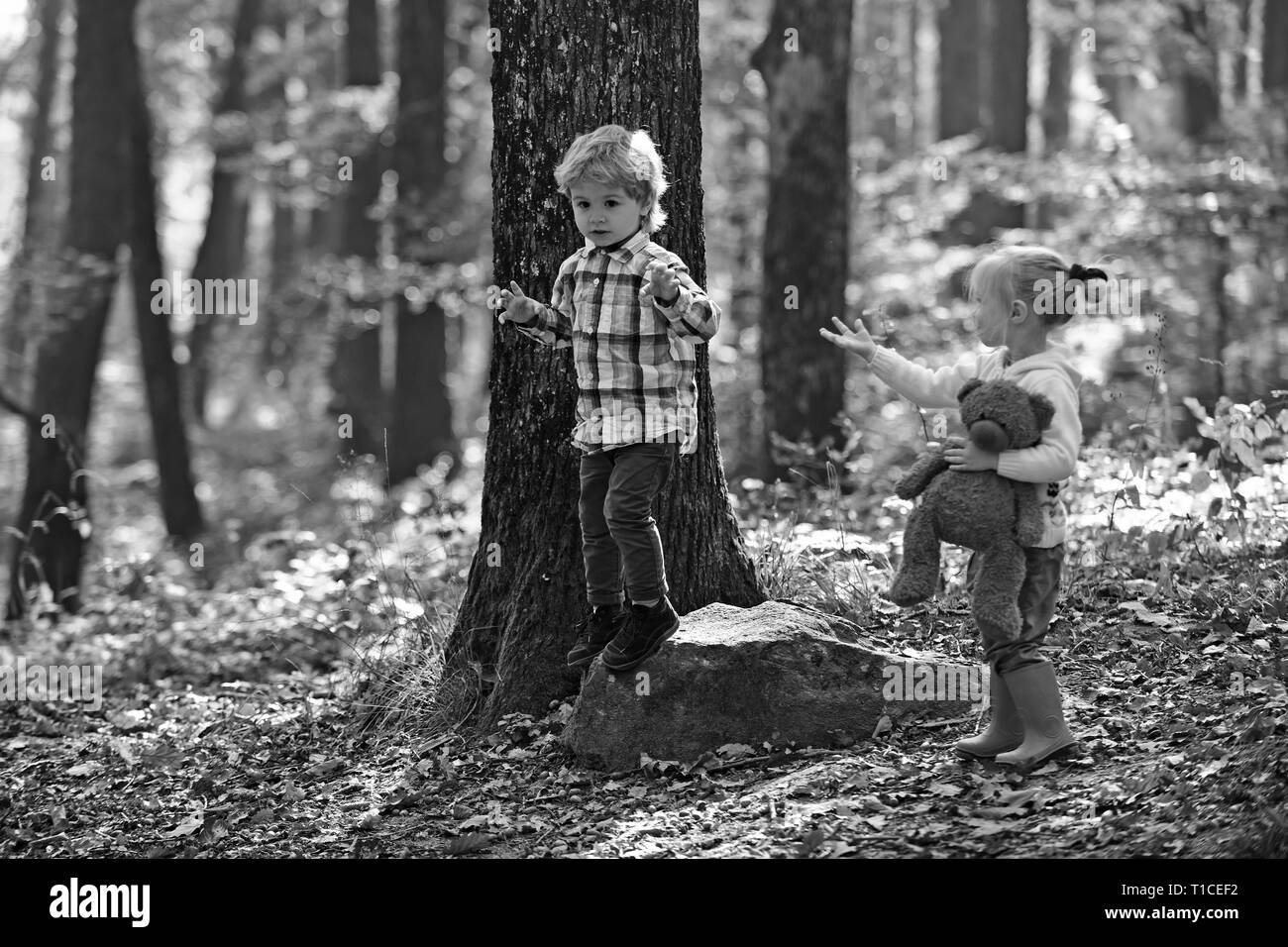 Kids play on fresh air in autumn forest. Kids activity and active rest ...
