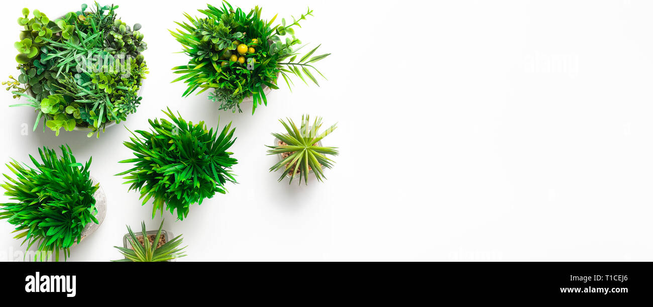 Mini plants hi-res stock photography and images - Alamy