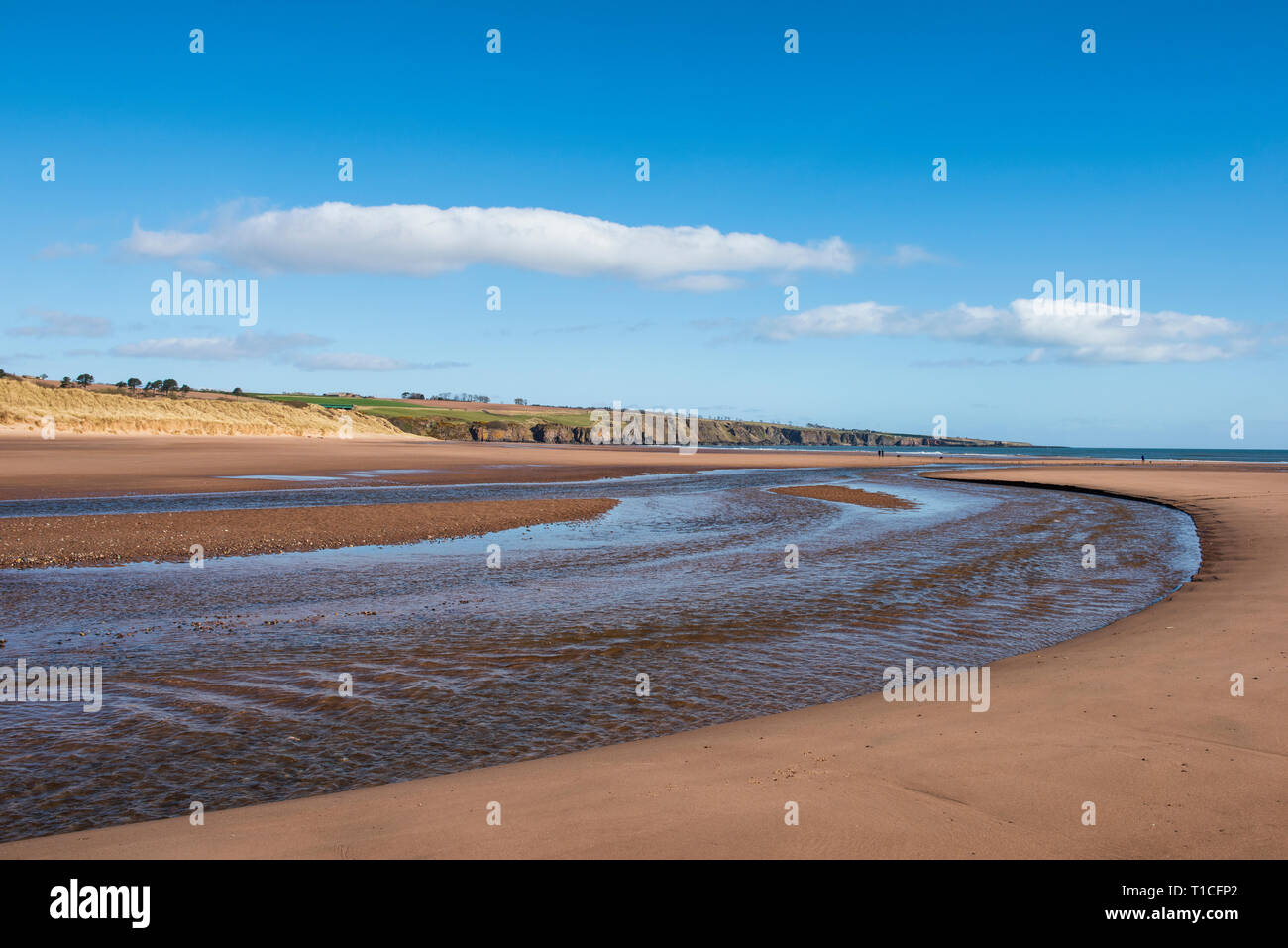 Lunan Bay Beach Stock Photos & Lunan Bay Beach Stock Images - Alamy