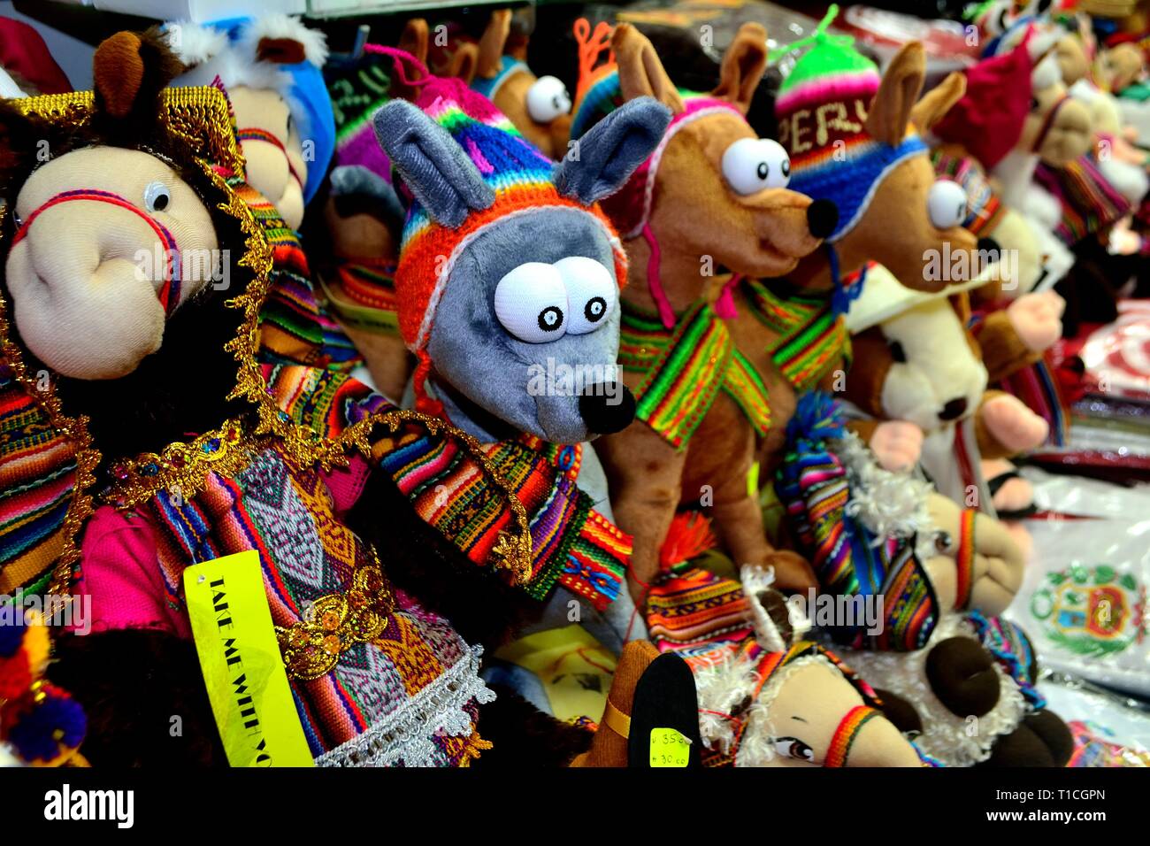 Selling teddy viringo dog - Shopping center in LIMA. Department of Lima ...