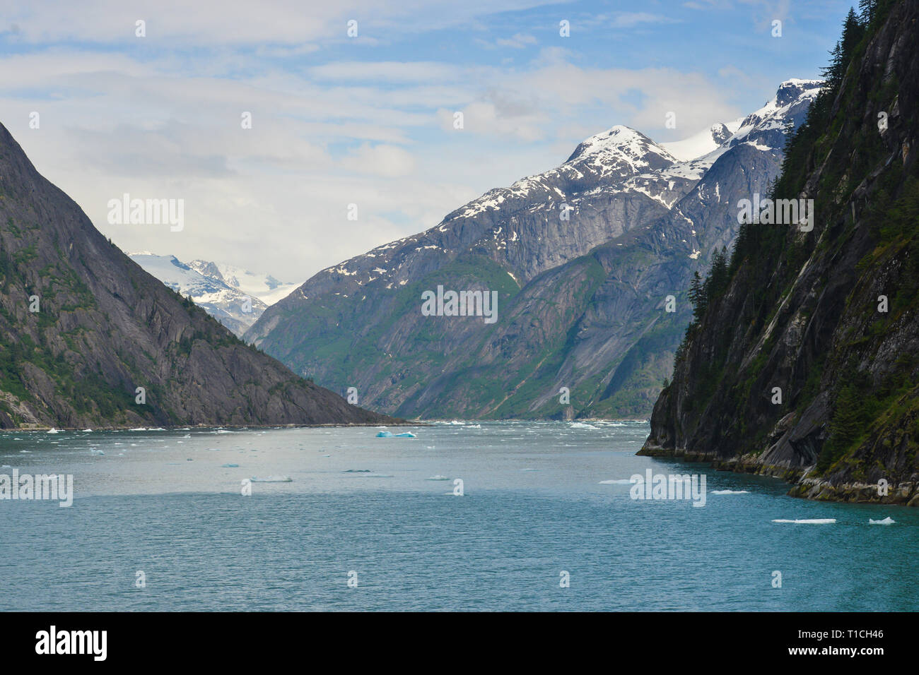 View down a Fjord in Alaska Stock Photo - Alamy