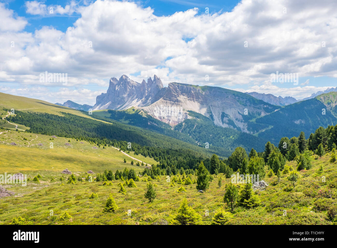 Alps meadow in a valley with mountain peaks Stock Photo - Alamy