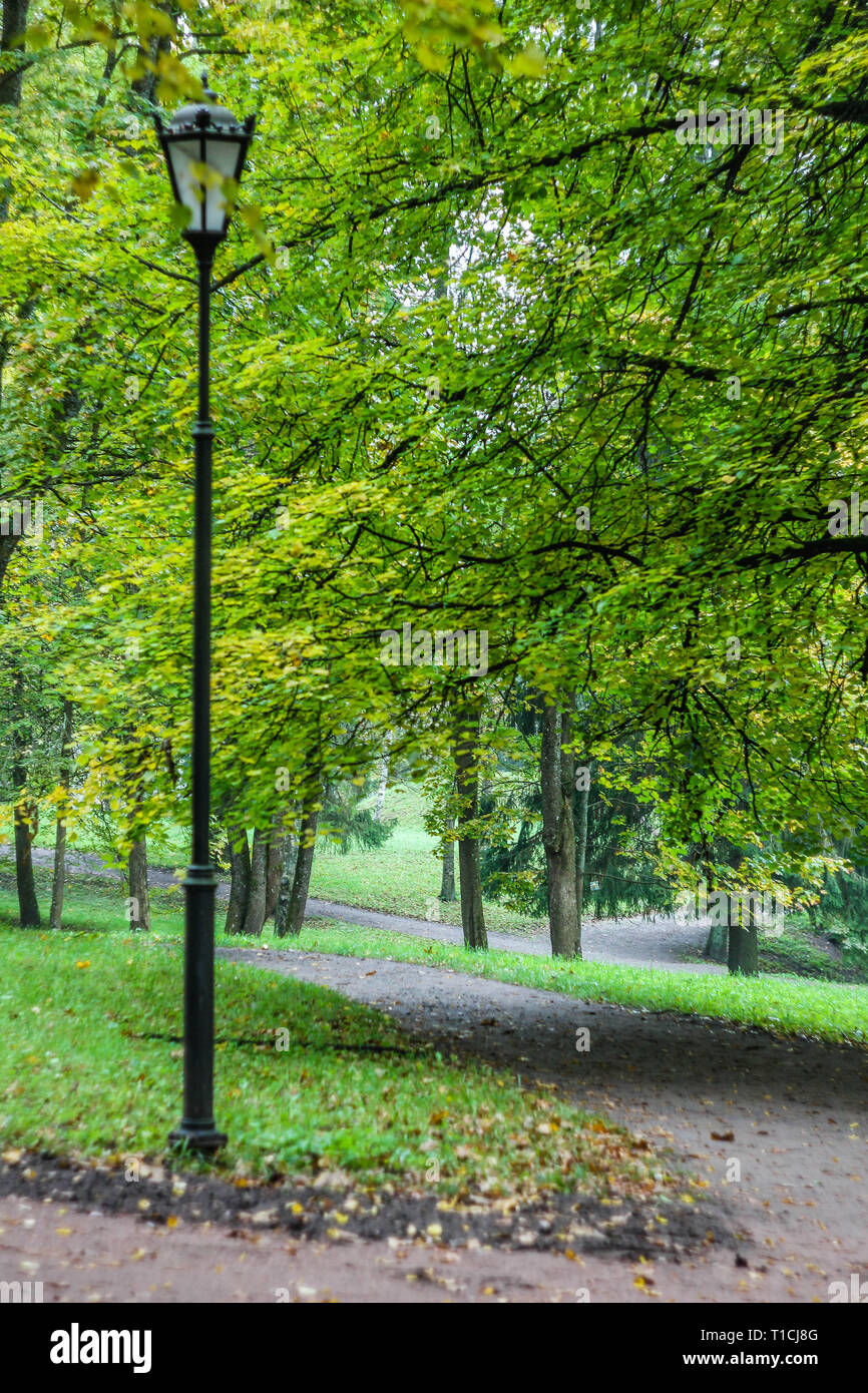 Autumn park in the morning in cloudy weather. Picture autumn park ...