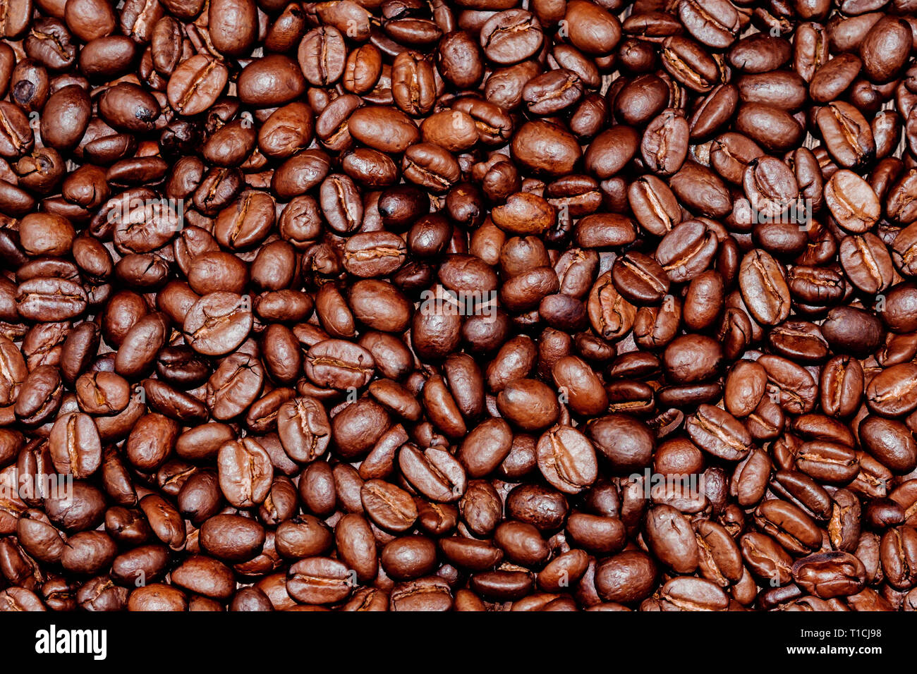 Roasted arabica coffee beans as background close up macro view Stock ...