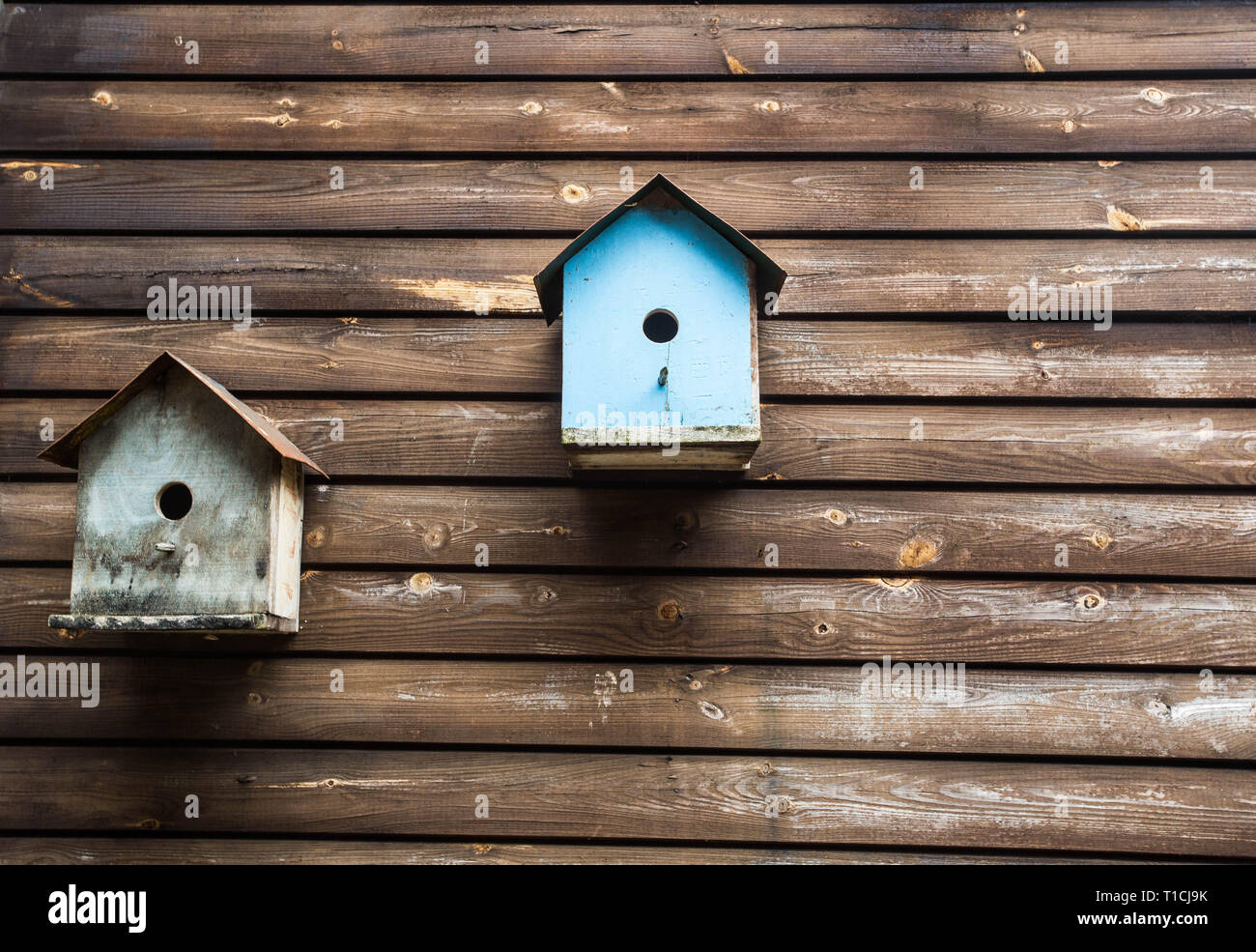 wooden bird boxes or birdhouses on a wooden wall, background texture ...