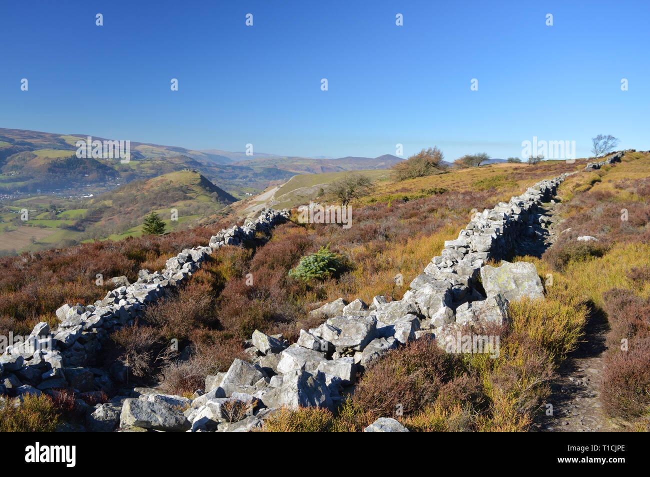Panorama walk on Eglwyseg mountain in early spring sunshine, Llangollen ...
