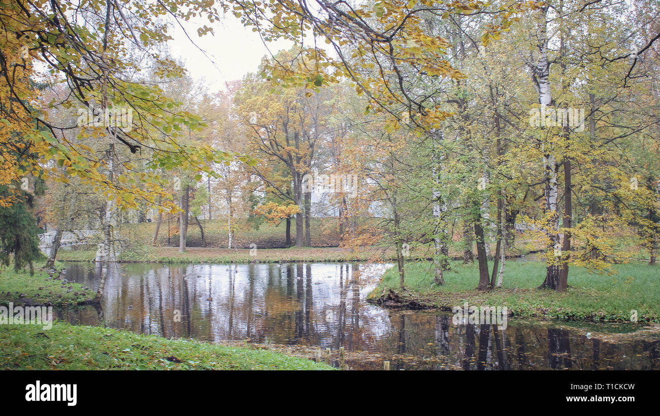 Autumn park in the morning in cloudy weather. Picture autumn park ...