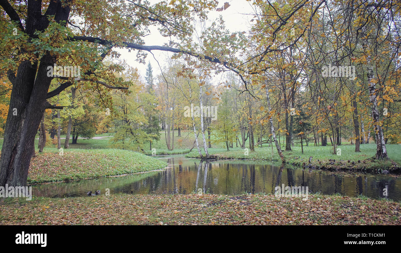 Autumn park in the morning in cloudy weather. Picture autumn park ...