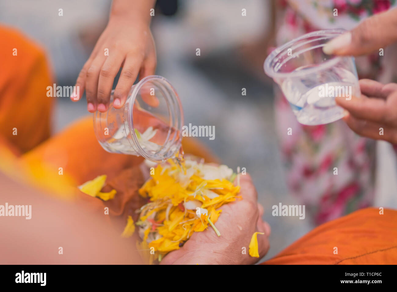 People pouring water to Buddhist Monk and gives blessing in Thailand ...