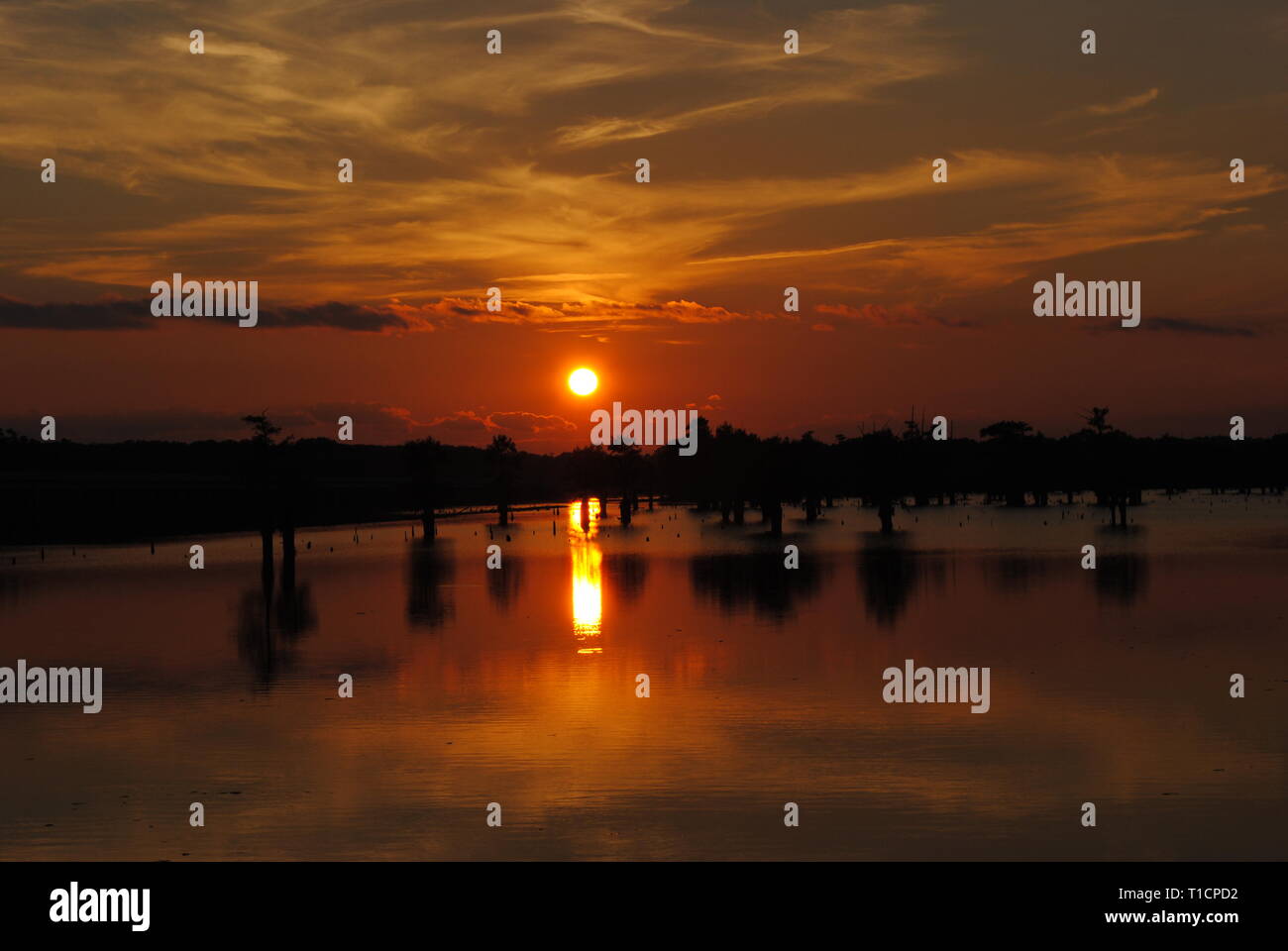 Louisiana bayou sunset hi-res stock photography and images - Alamy