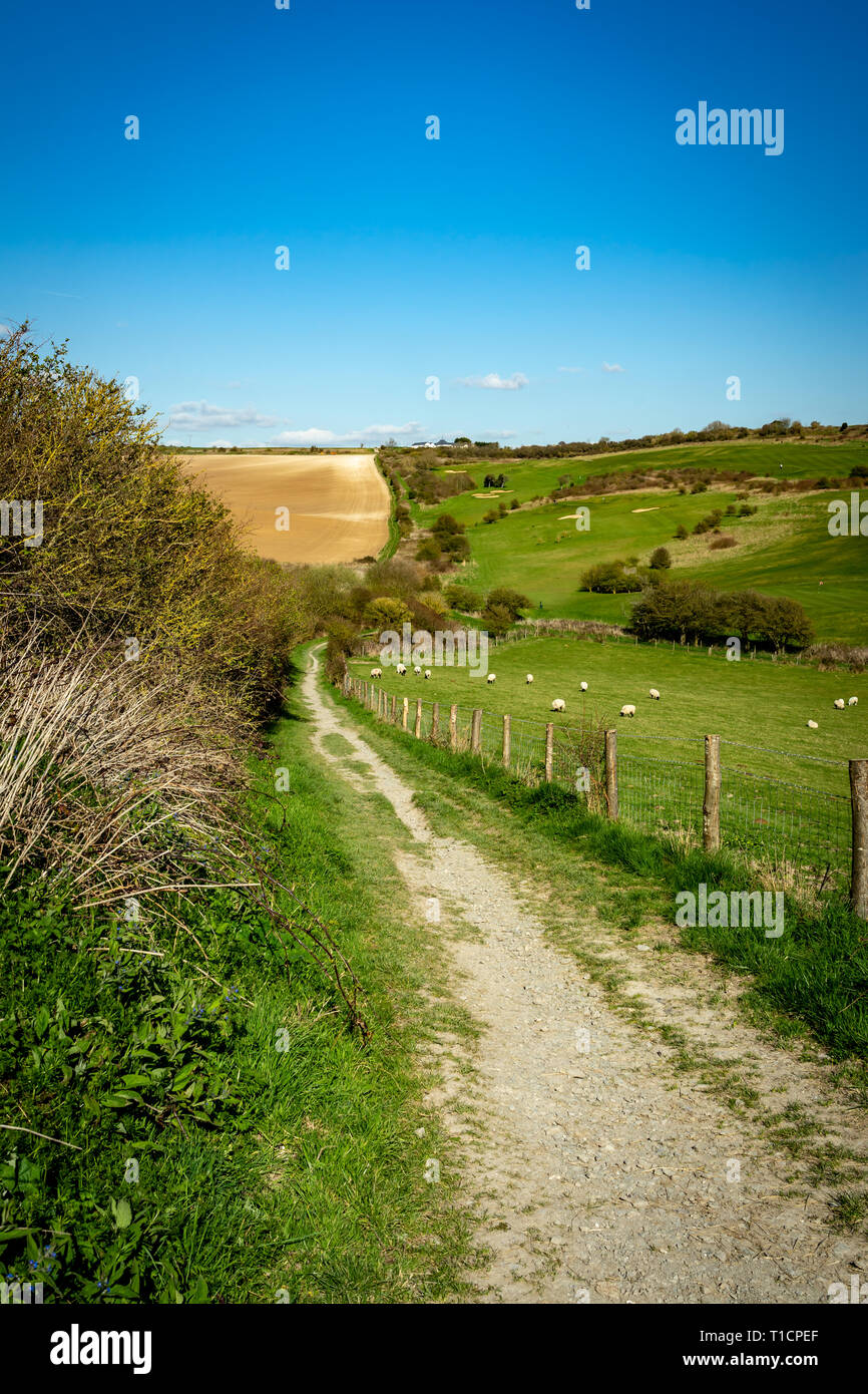 A downland farm track Stock Photo - Alamy