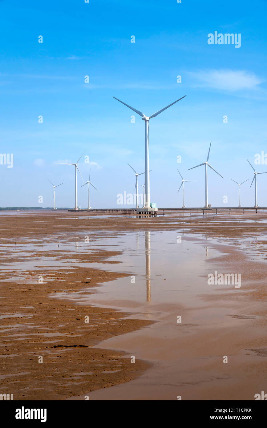 Wind turbines generating electricity on the sea at Bac Lieu, Vietnam ...