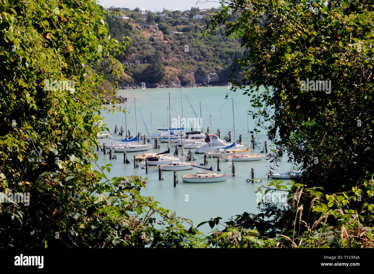 Diamond Harbour , Banks Peninsula on New Zealands South Island. A ...
