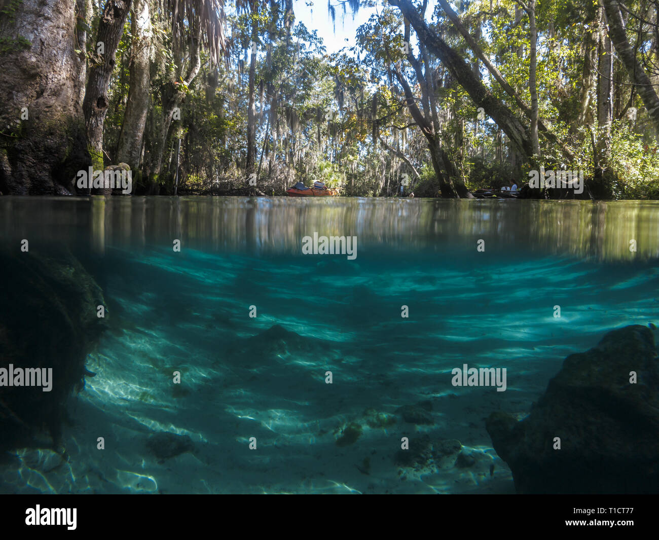 Split waterline river hi-res stock photography and images - Alamy