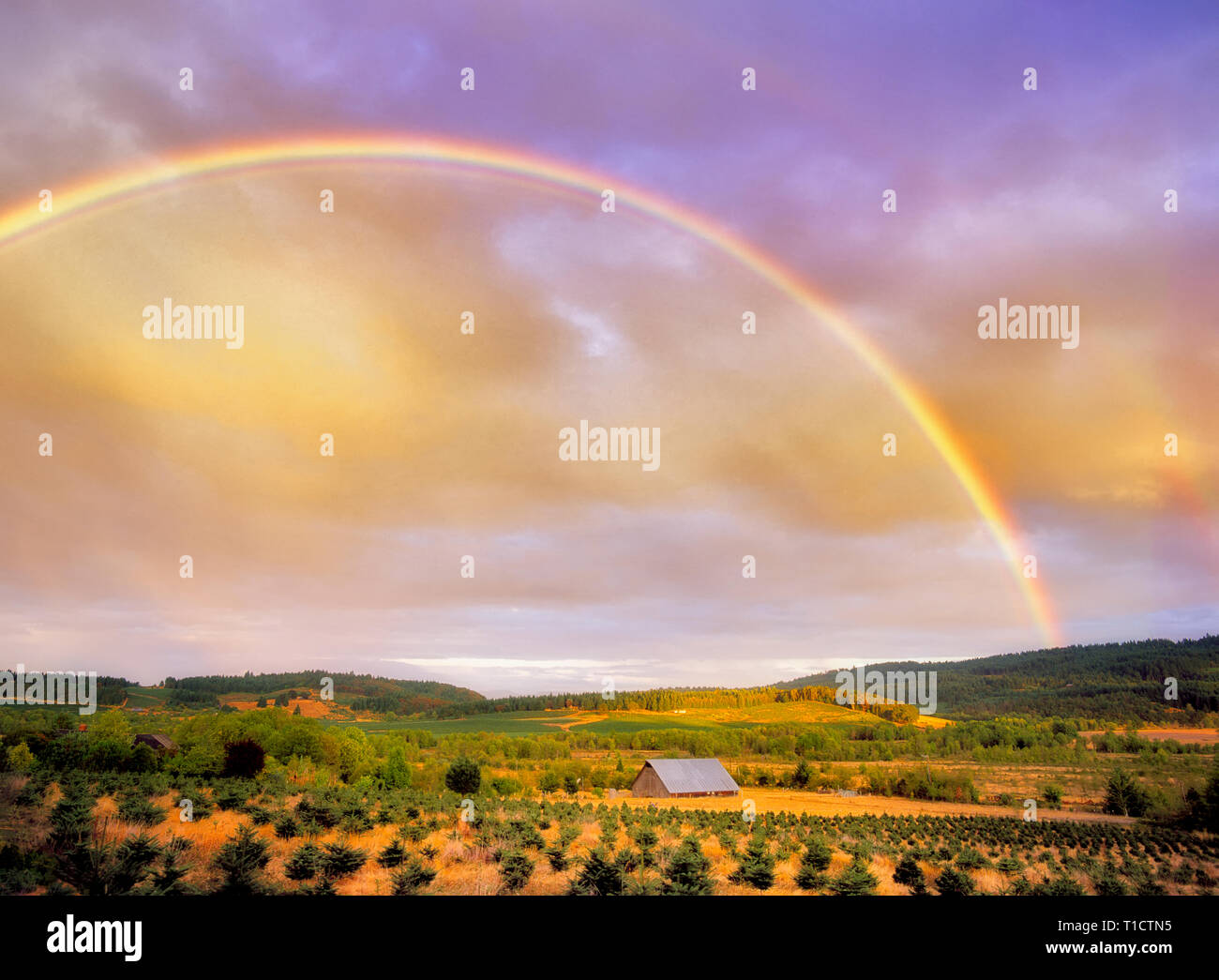 Farm barn tree rainbow hi-res stock photography and images - Alamy