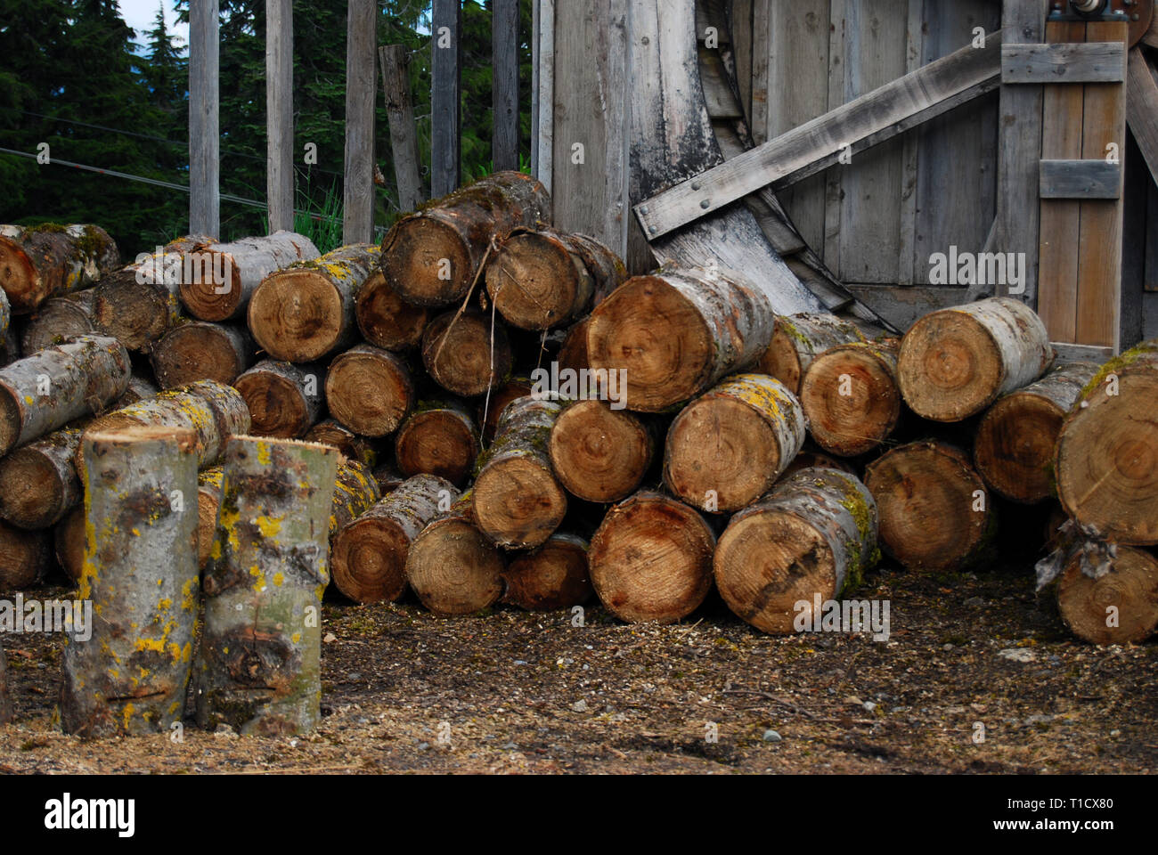 Pile of logs axe hi-res stock photography and images - Alamy