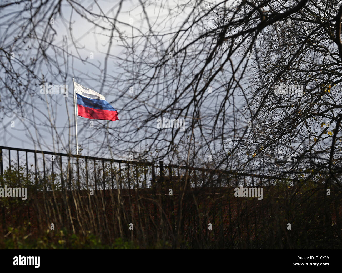 Rysslands flagga hi-res stock photography and images - Alamy
