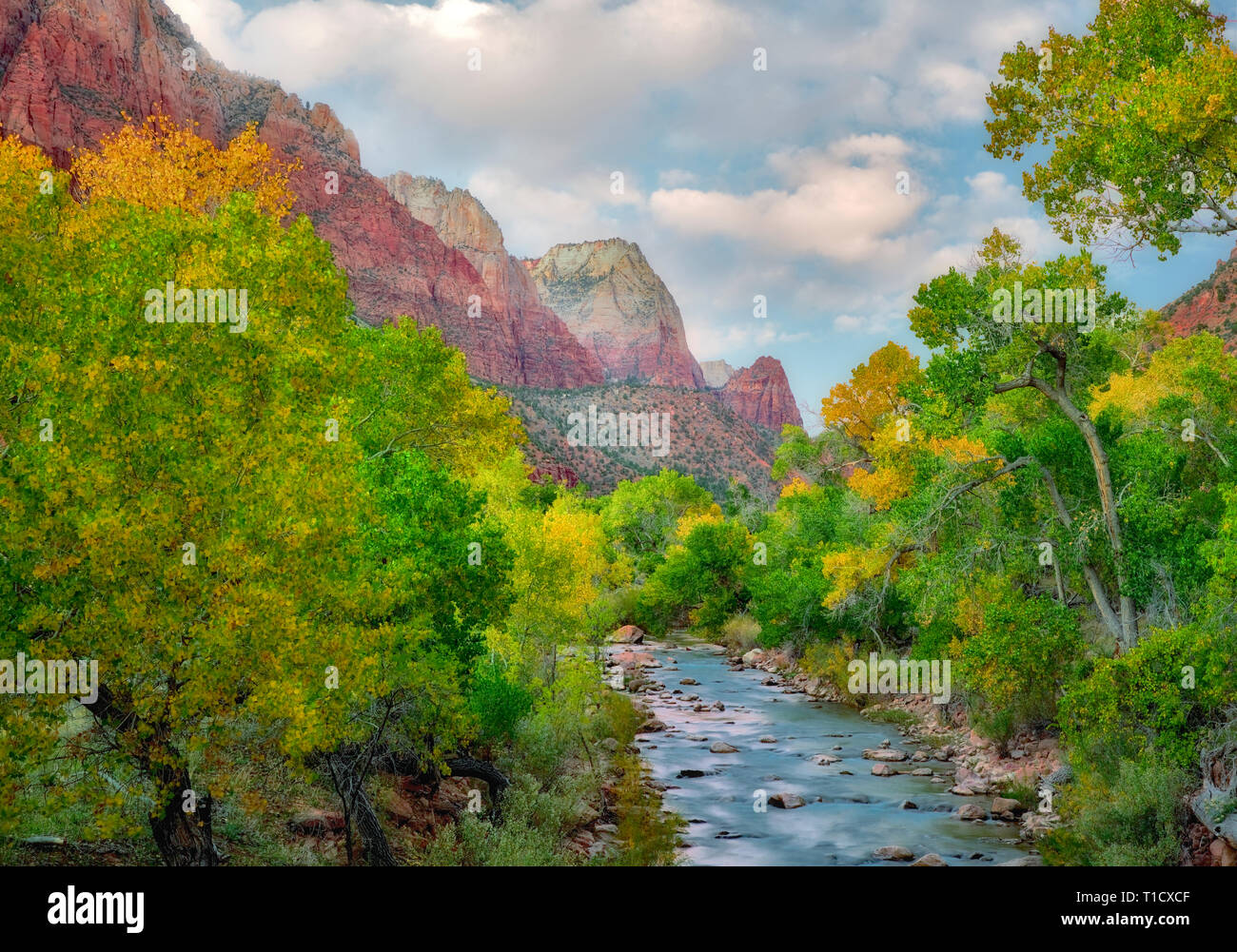 Fall color and Virgin River with sunset clouds. Zion National Park ...