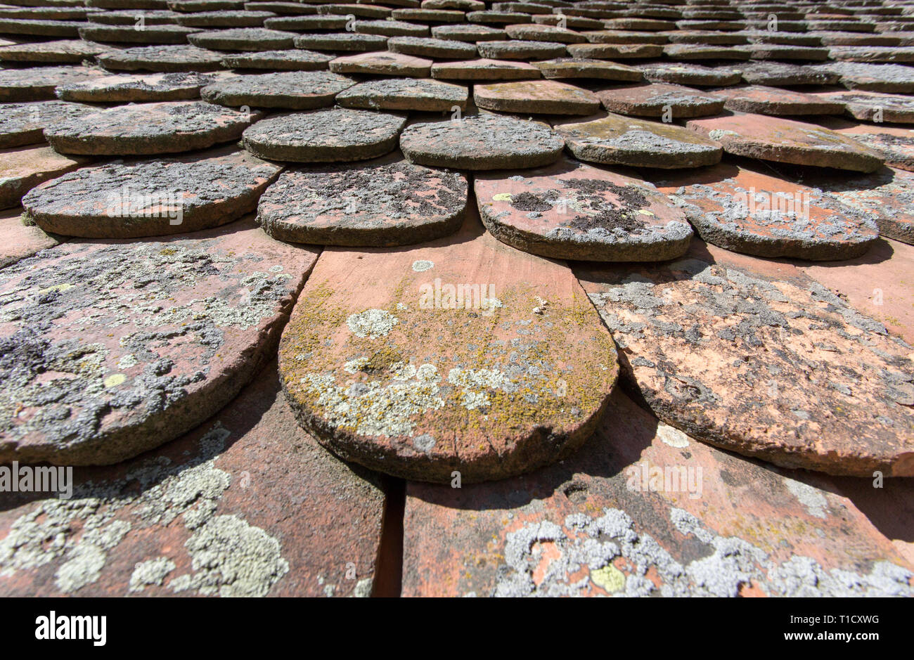 A background photo of tiles in Romania Stock Photo - Alamy