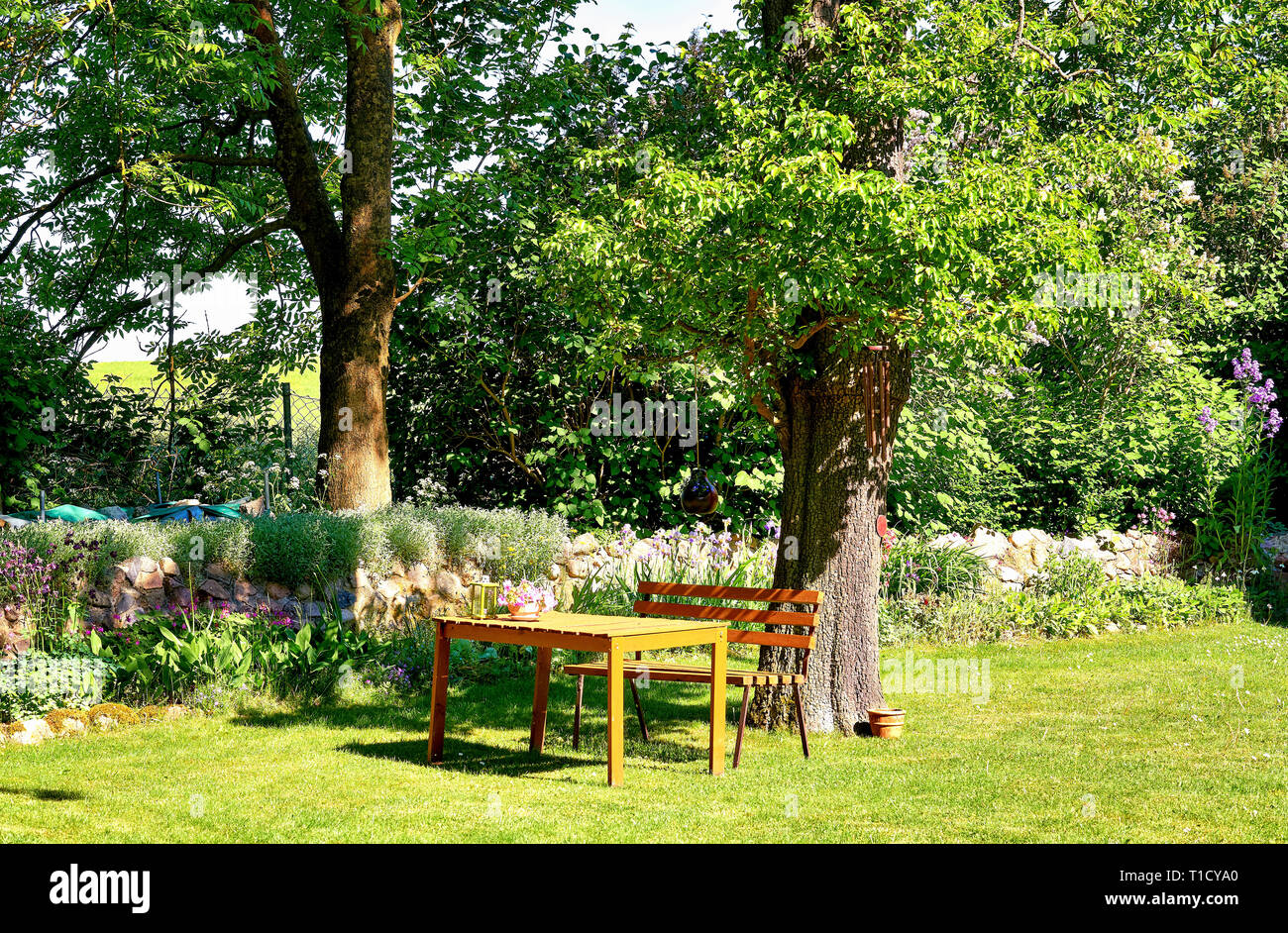 Wooden table and bench in the garden under an old tree Stock Photo - Alamy
