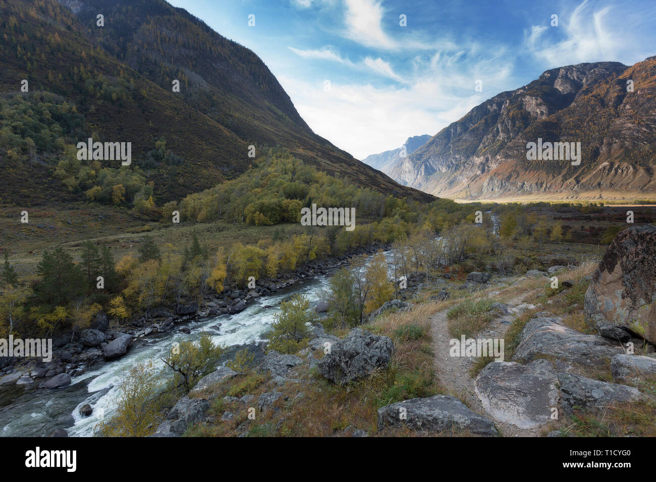 landscape with mountains, forest and a river in front. beautiful ...