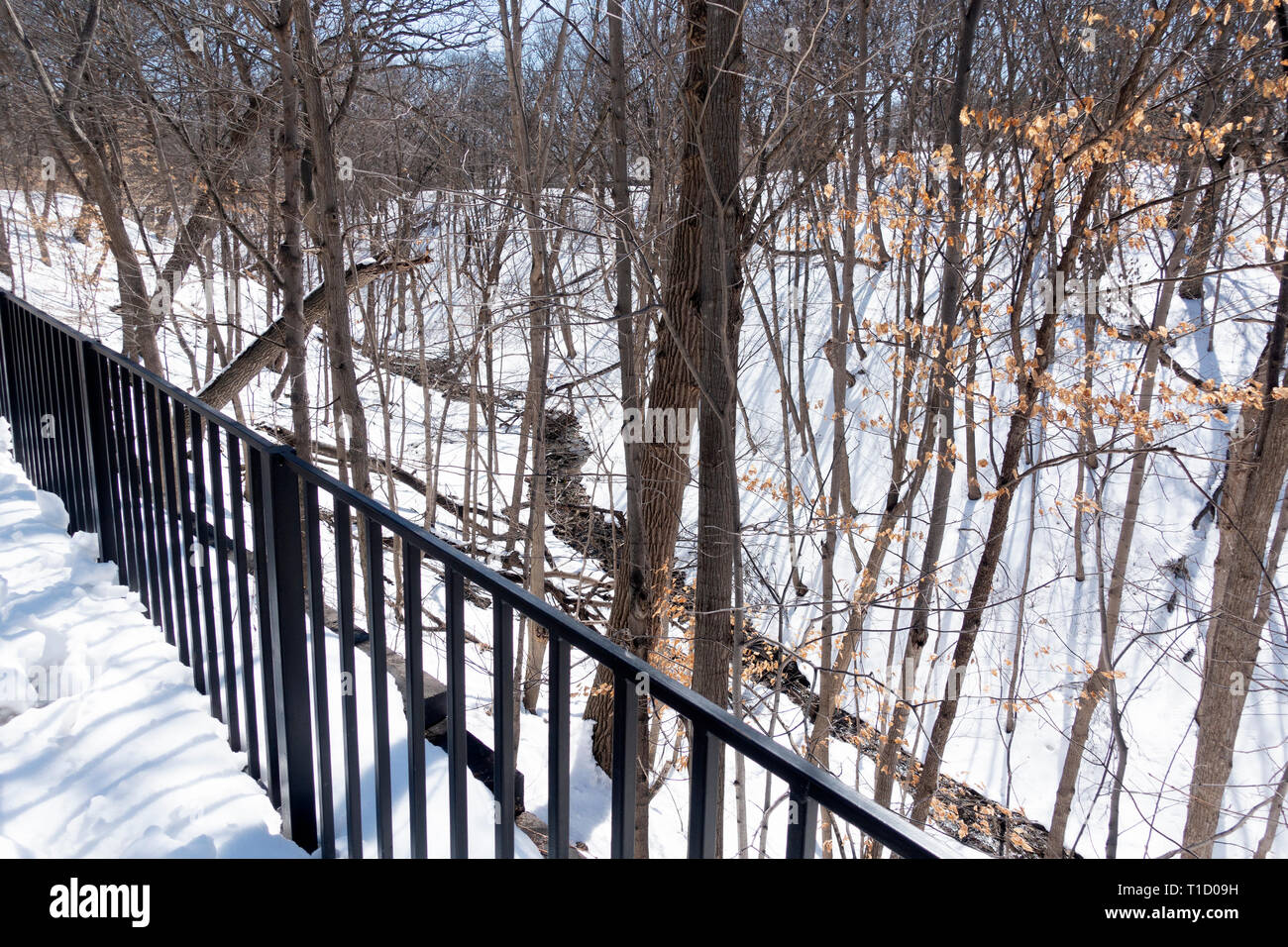 C5711 0001 hi-res stock photography and images - Alamy