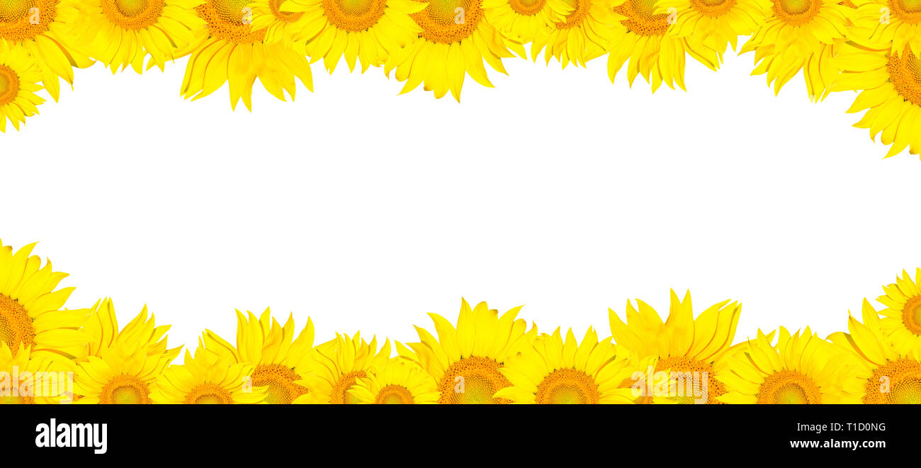 Panoramic Frame High Resolution Stock Photography and Images - Alamy