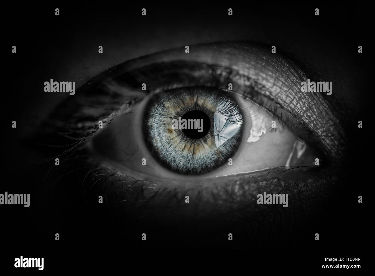 Macro shot of female human eye in black and white toned Stock Photo - Alamy