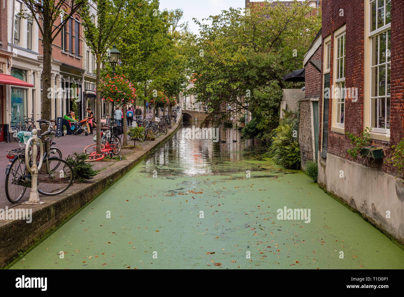 A beautiful historic old canal in the center of Delft, Netherlands ...