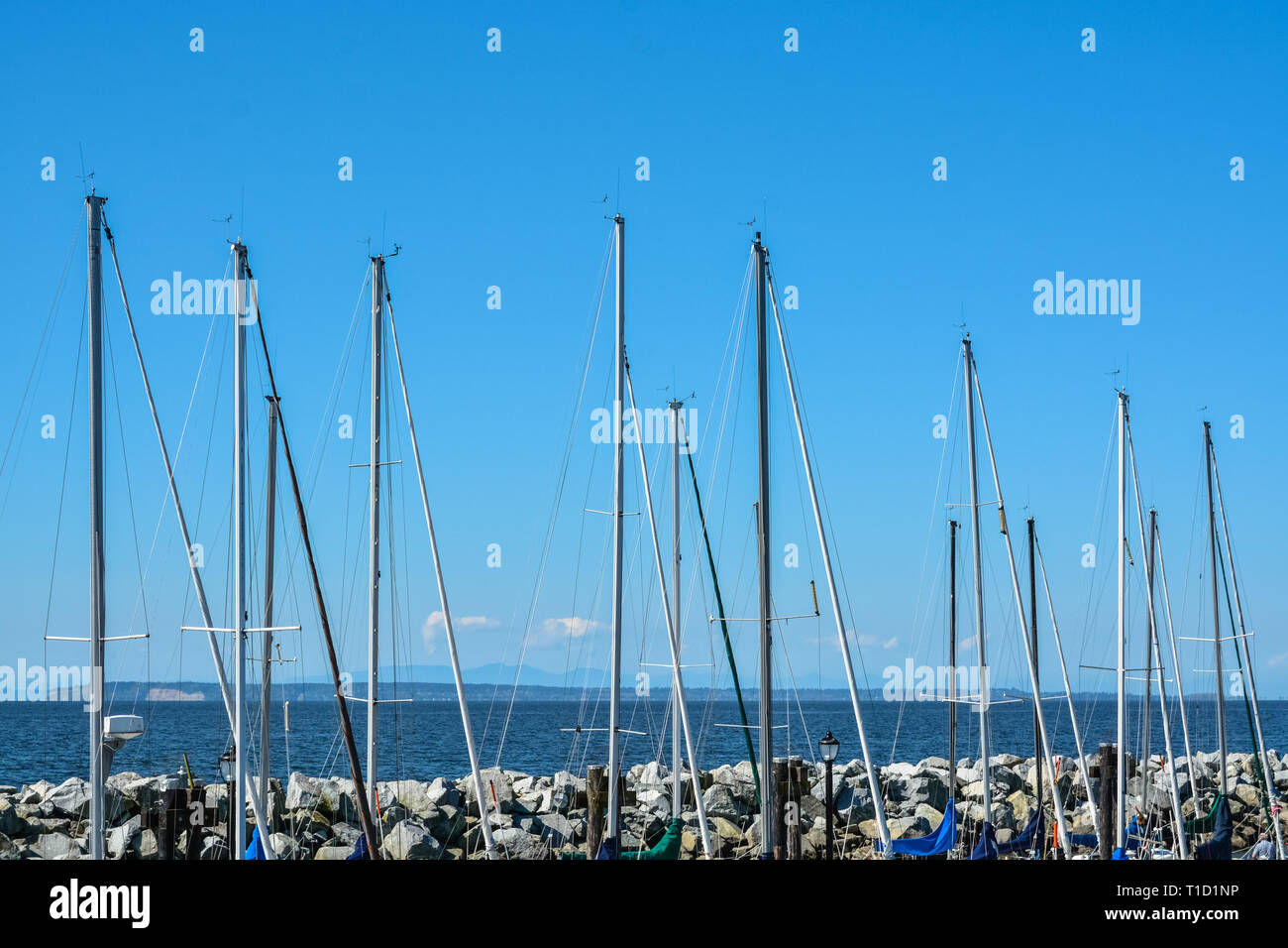 Sailing boats masts at mooring line on Pacific ocean harbor Stock Photo ...