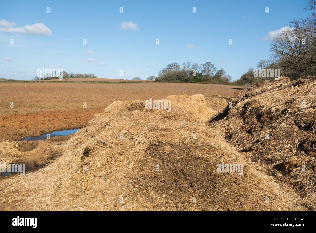 Arable crops hi-res stock photography and images - Alamy