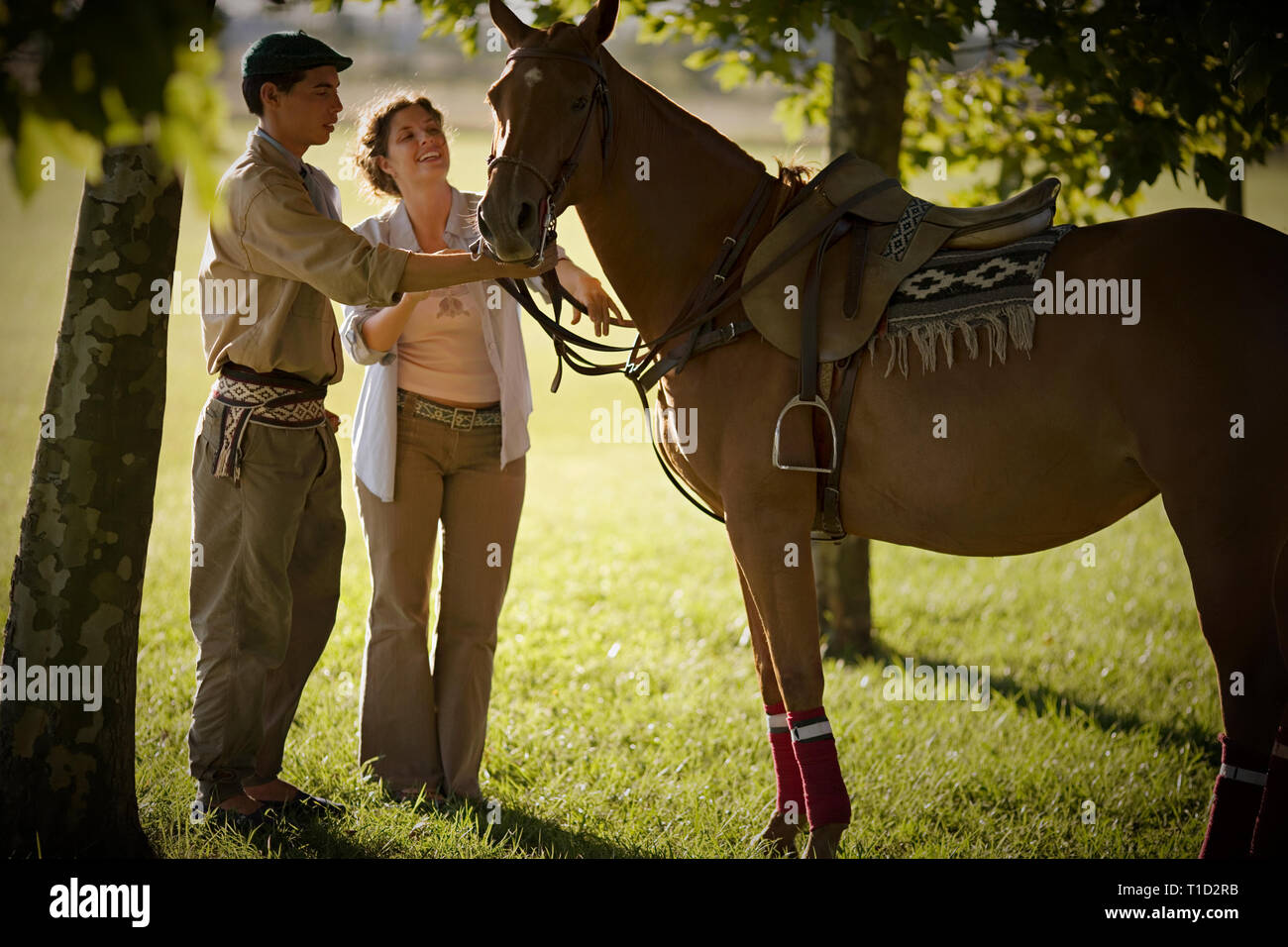 A man and a woman caressing a horse Stock Photo - Alamy