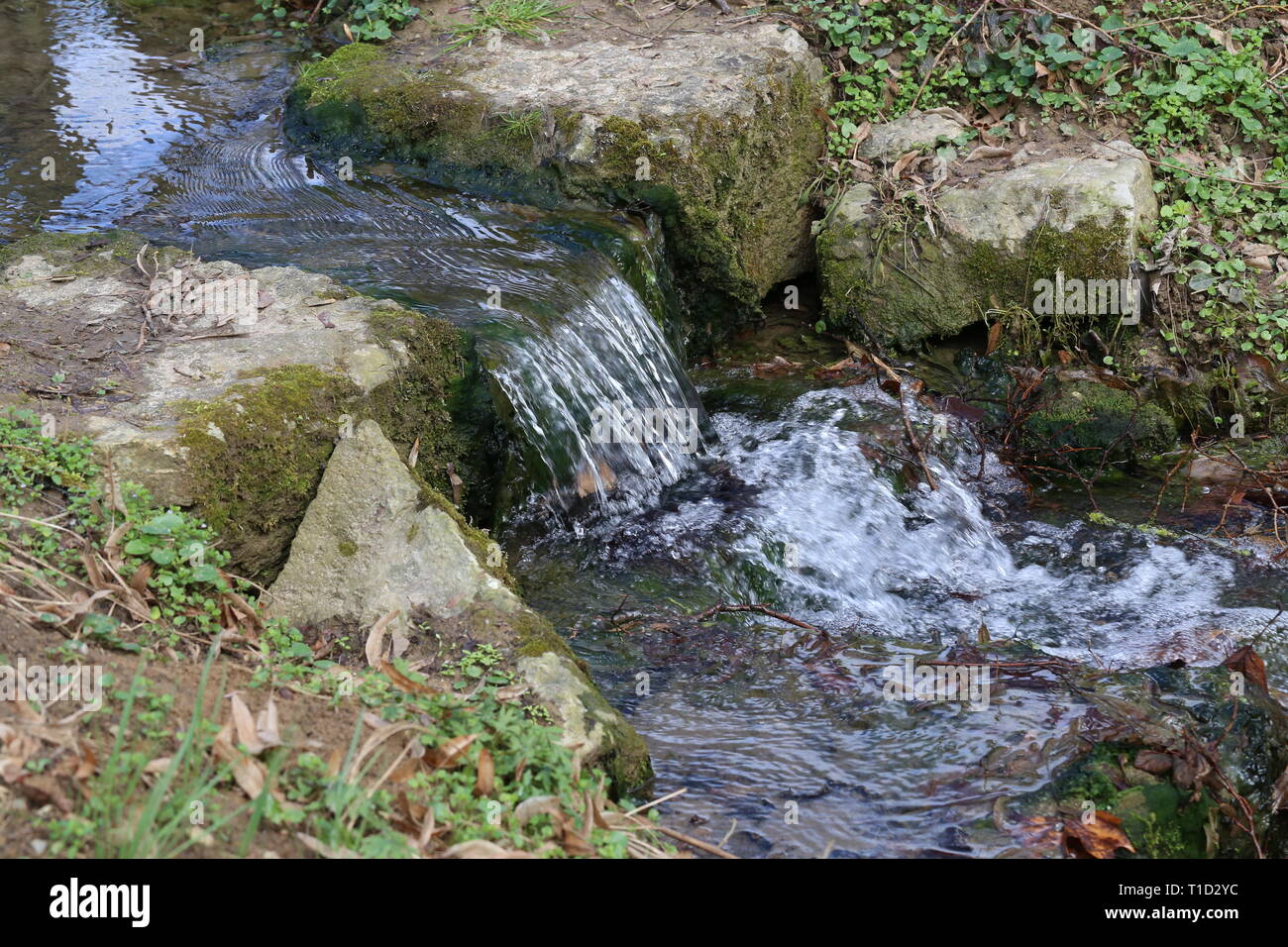 Spring brook with small cascades in the city park Stock Photo - Alamy