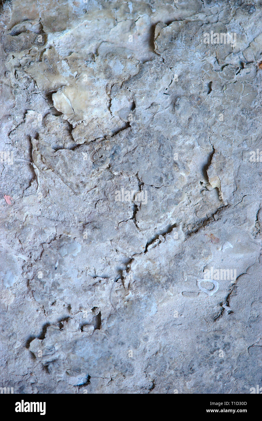 Hard plaster hi-res stock photography and images - Alamy