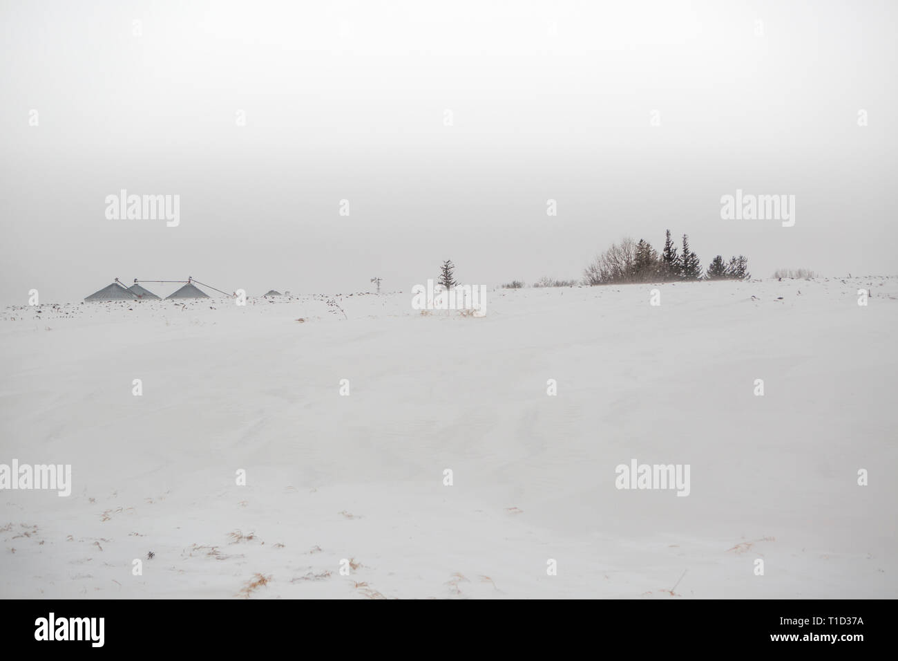 Barely covered hi-res stock photography and images - Alamy