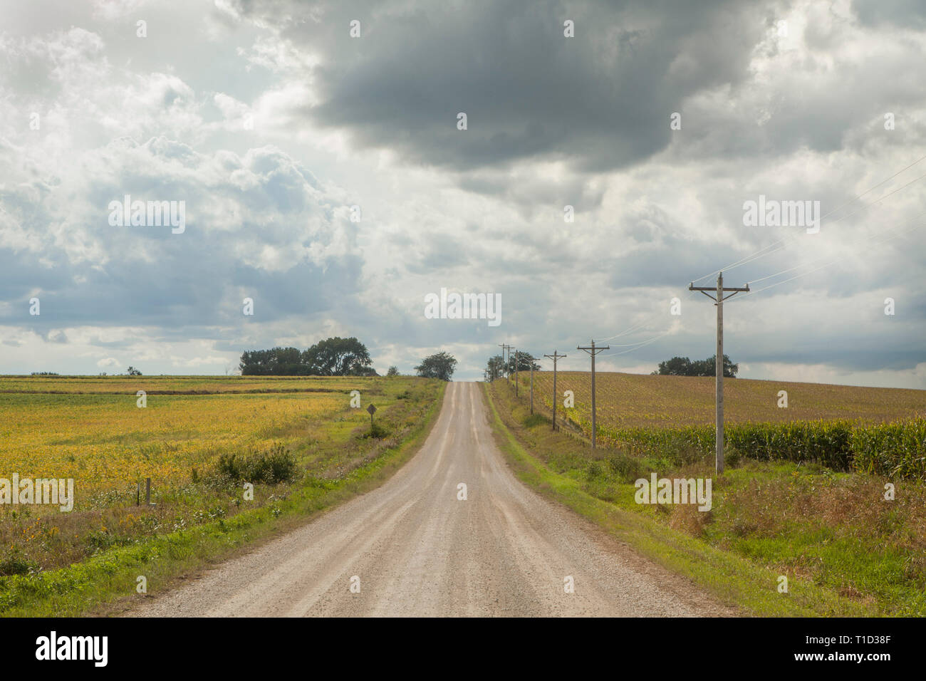 Iowa corn fields hi-res stock photography and images - Alamy