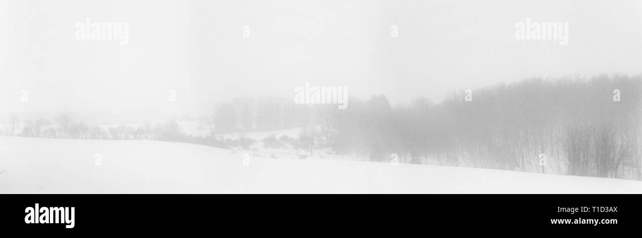 Winter Landscape during Snowstorm Stock Photo - Alamy