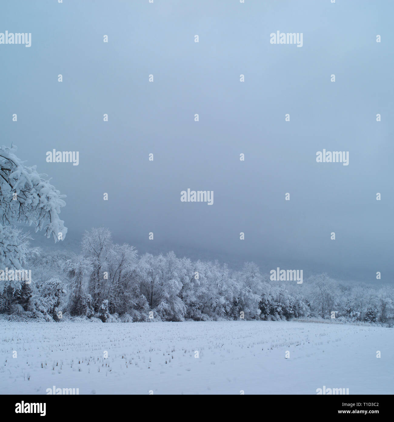 Gray winter weather landscape hi-res stock photography and images - Alamy