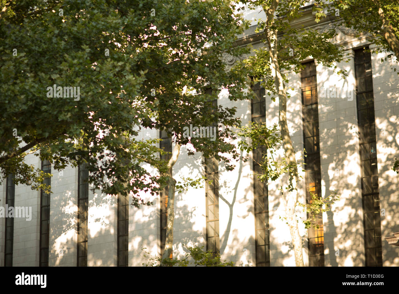 New York City Shadows High Resolution Stock Photography and Images - Alamy