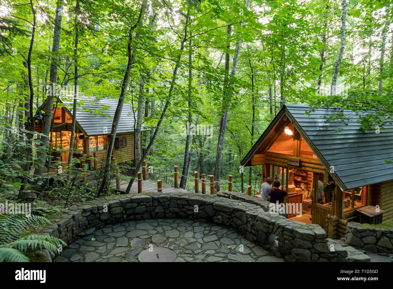 Furano, AUG 6: The famous Elf forest little house on AUG 6, 2017 at ...