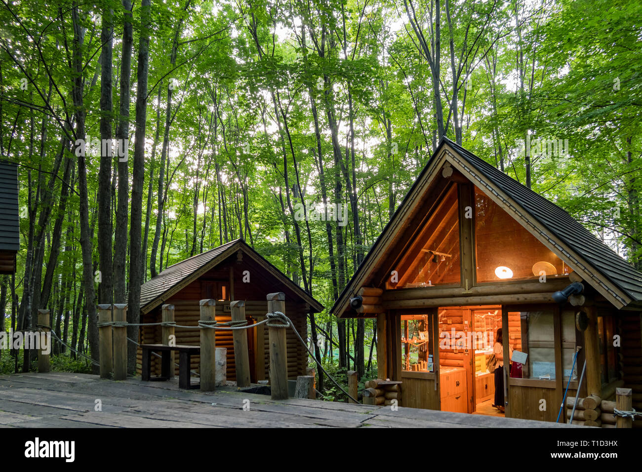 Furano, AUG 6: The famous Elf forest little house on AUG 6, 2017 at ...