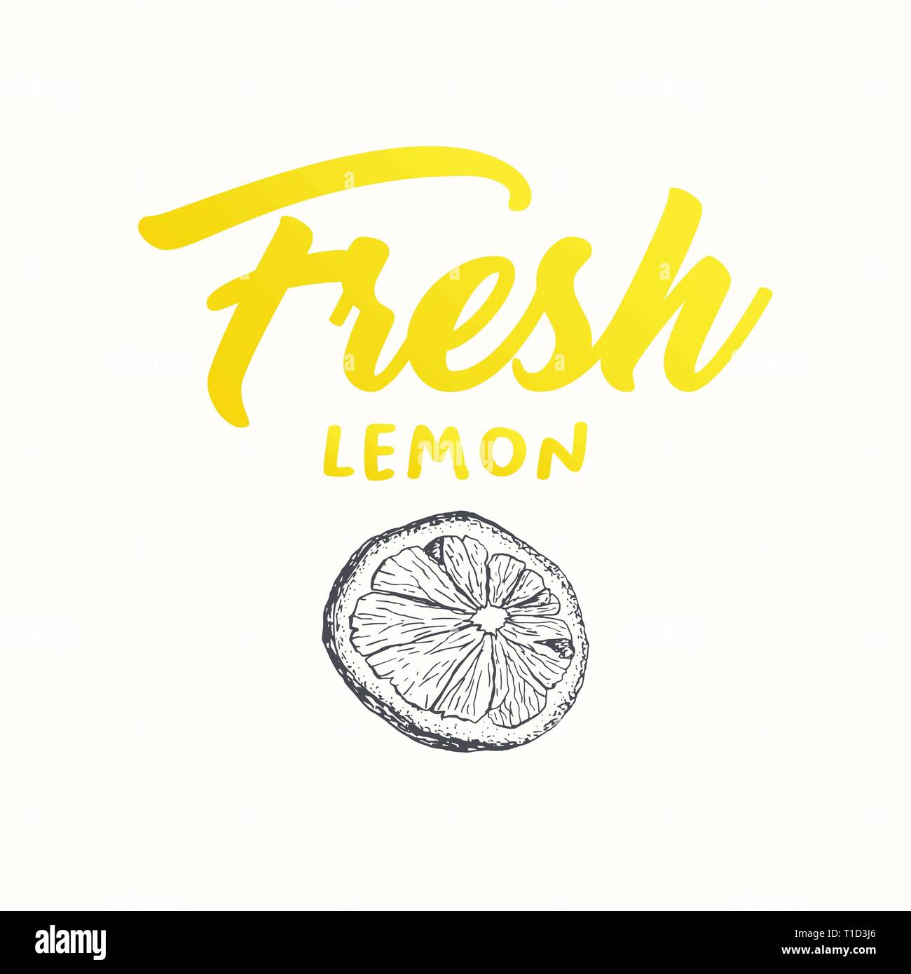Fresh lemon vector banner template. Sketch fruit clipart. Sliced lemon ...