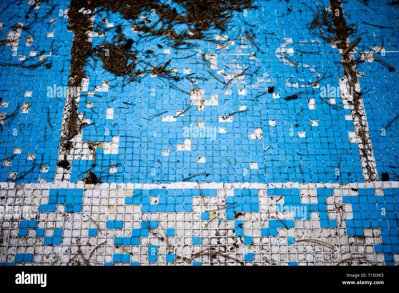Broken blue azure retro tiles mosaic in abandoned pool - Berengaria ...