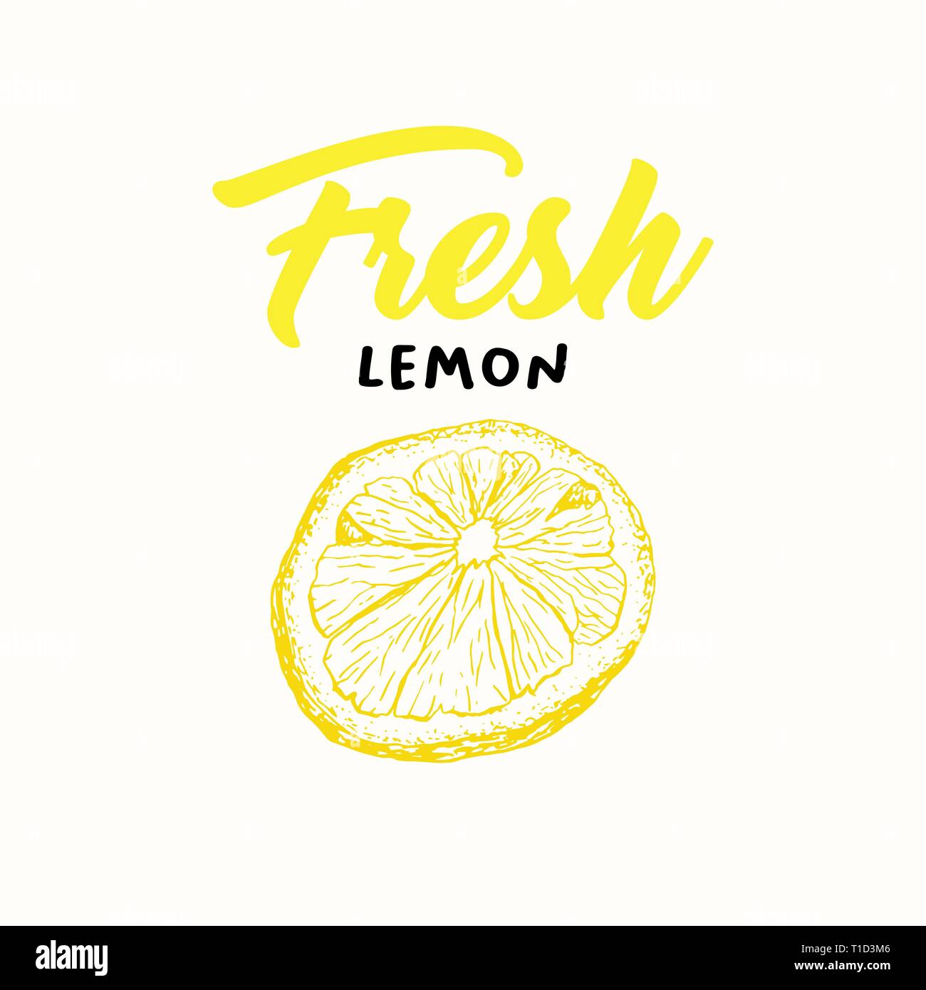 Fresh lemon vector illustration. Sketch fruit clipart. Handwritten ...