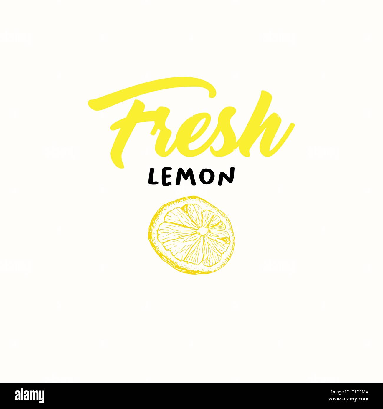 Fresh lemon vector illustration. Sketch fruit clipart. Handwritten ...