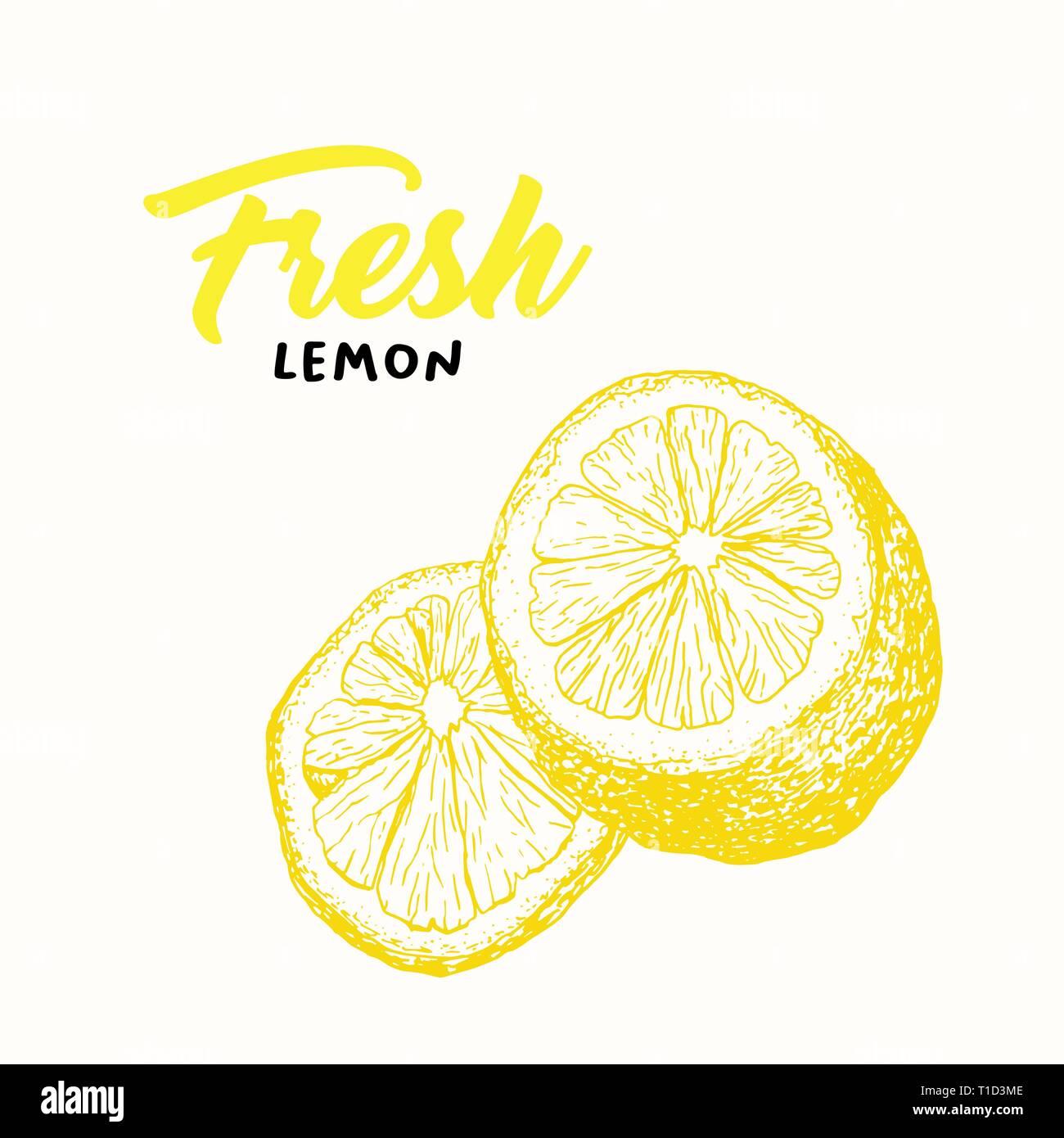Fresh lemon vector illustration. Sketch fruit clipart. Handwritten ...