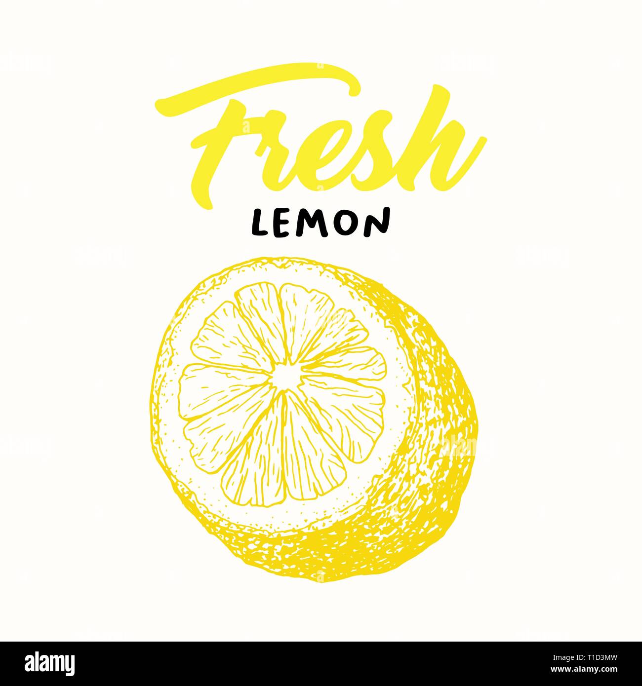 Fresh lemon vector illustration. Sketch fruit clipart. Handwritten ...