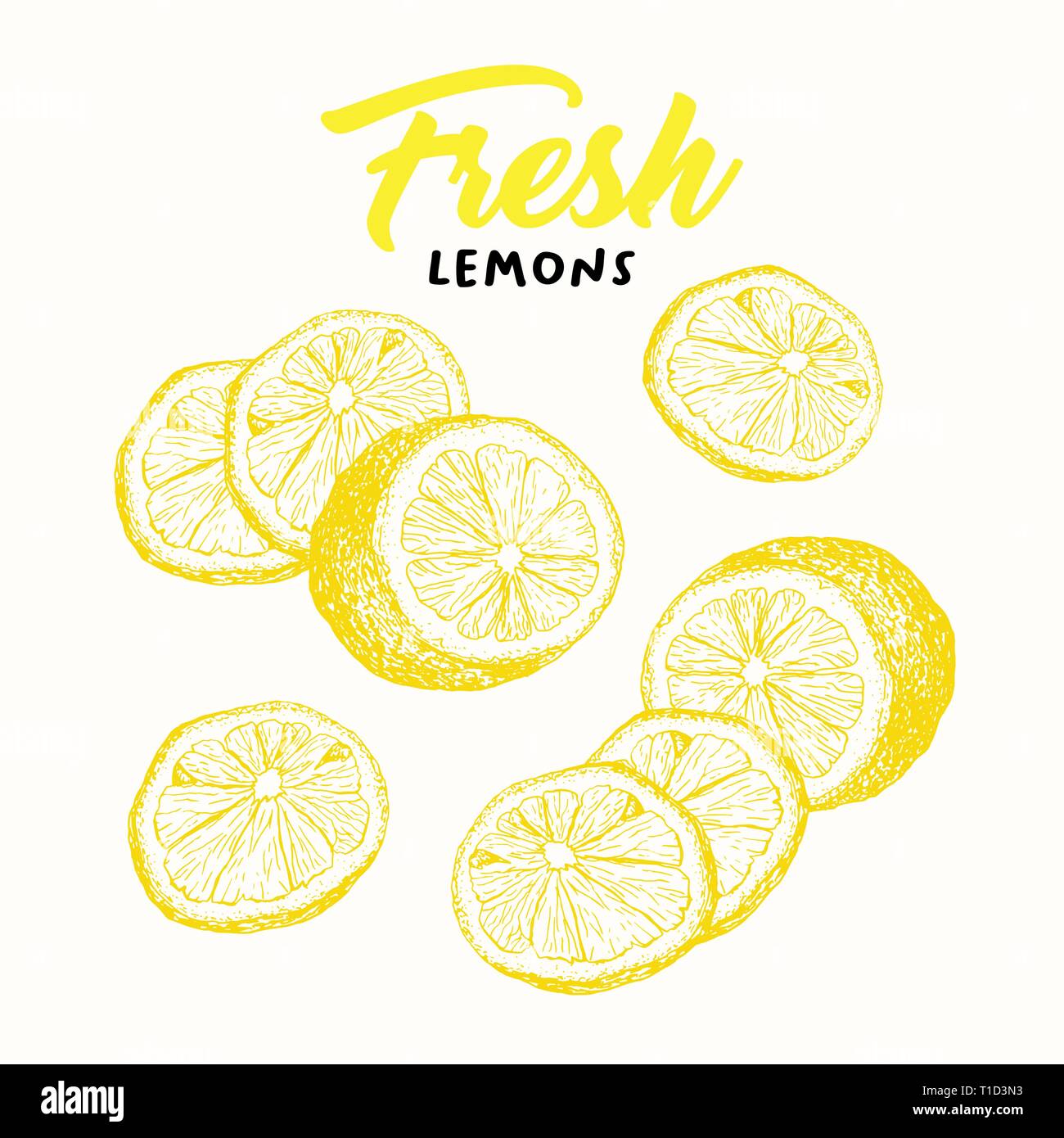 Fresh lemons vector illustration. Handwritten calligraphy, lettering ...
